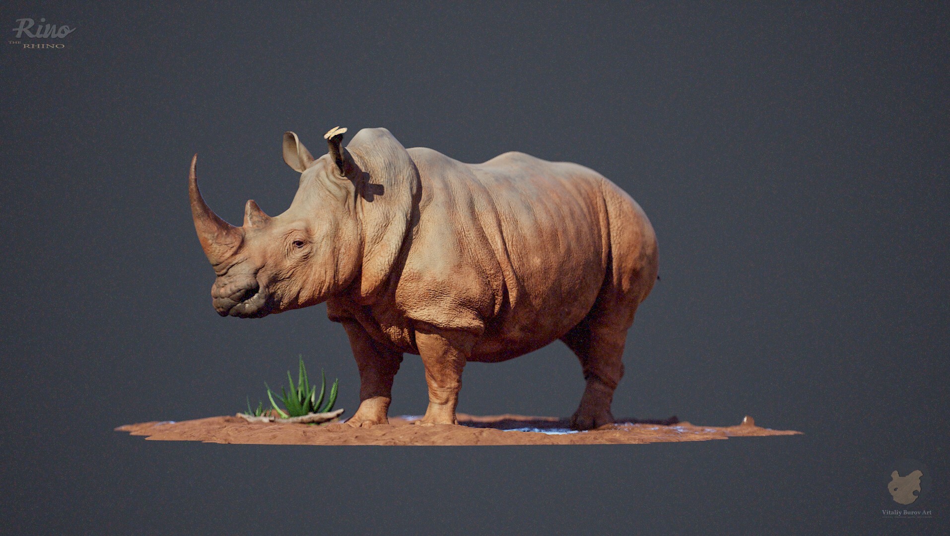 ArtStation - Rino, The Rhino