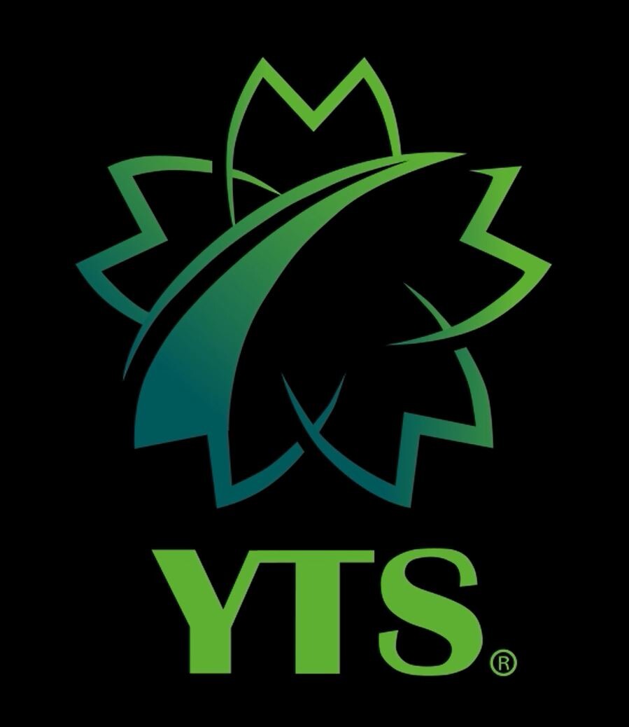 ArtStation - 2D projects for YTS