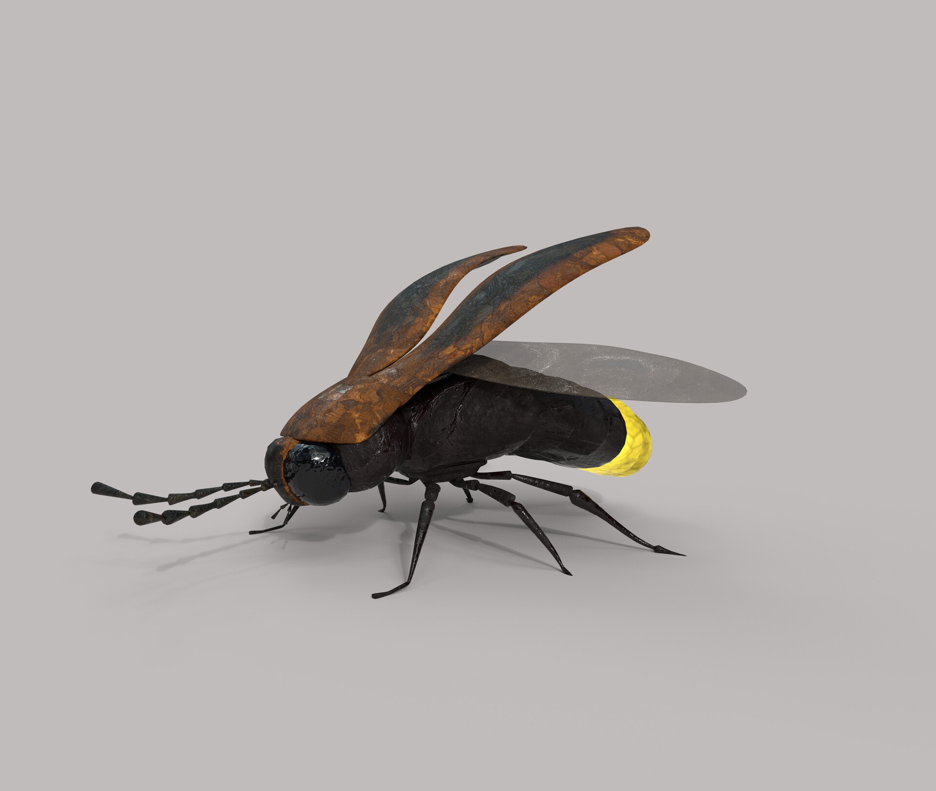 ArtStation - Firefly Model