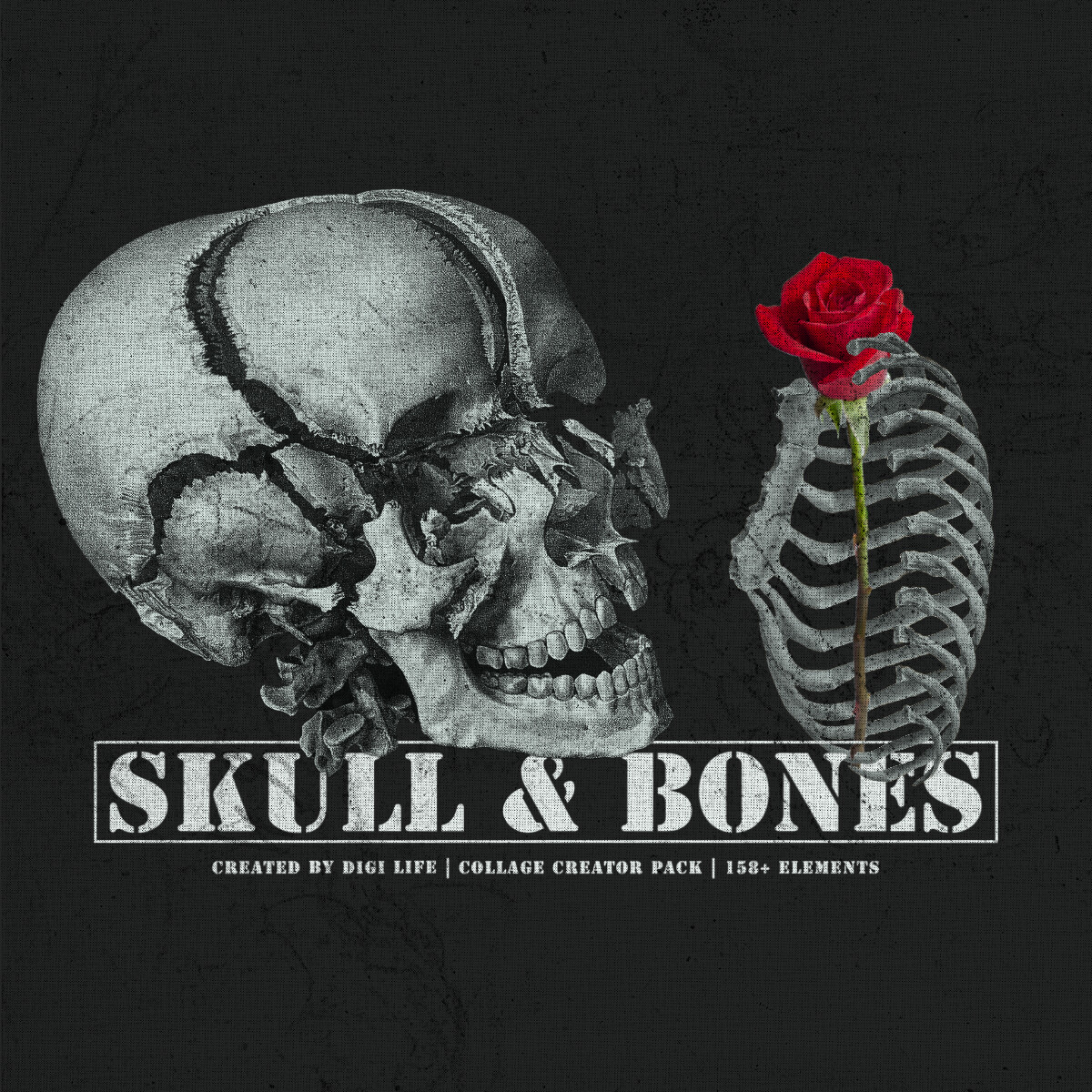 ArtStation - The Skull & Bones Collage Creator