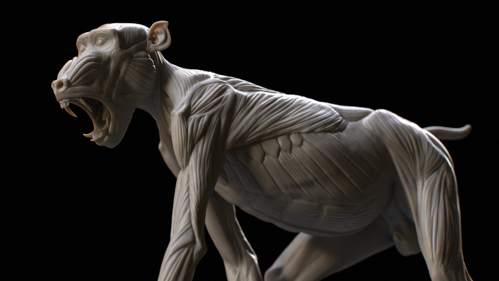 ArtStation - Mandrill Anatomy