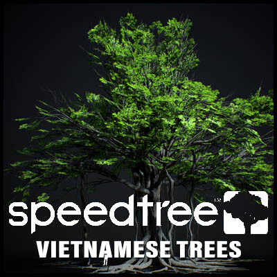 ArtStation - Vietnamese trees