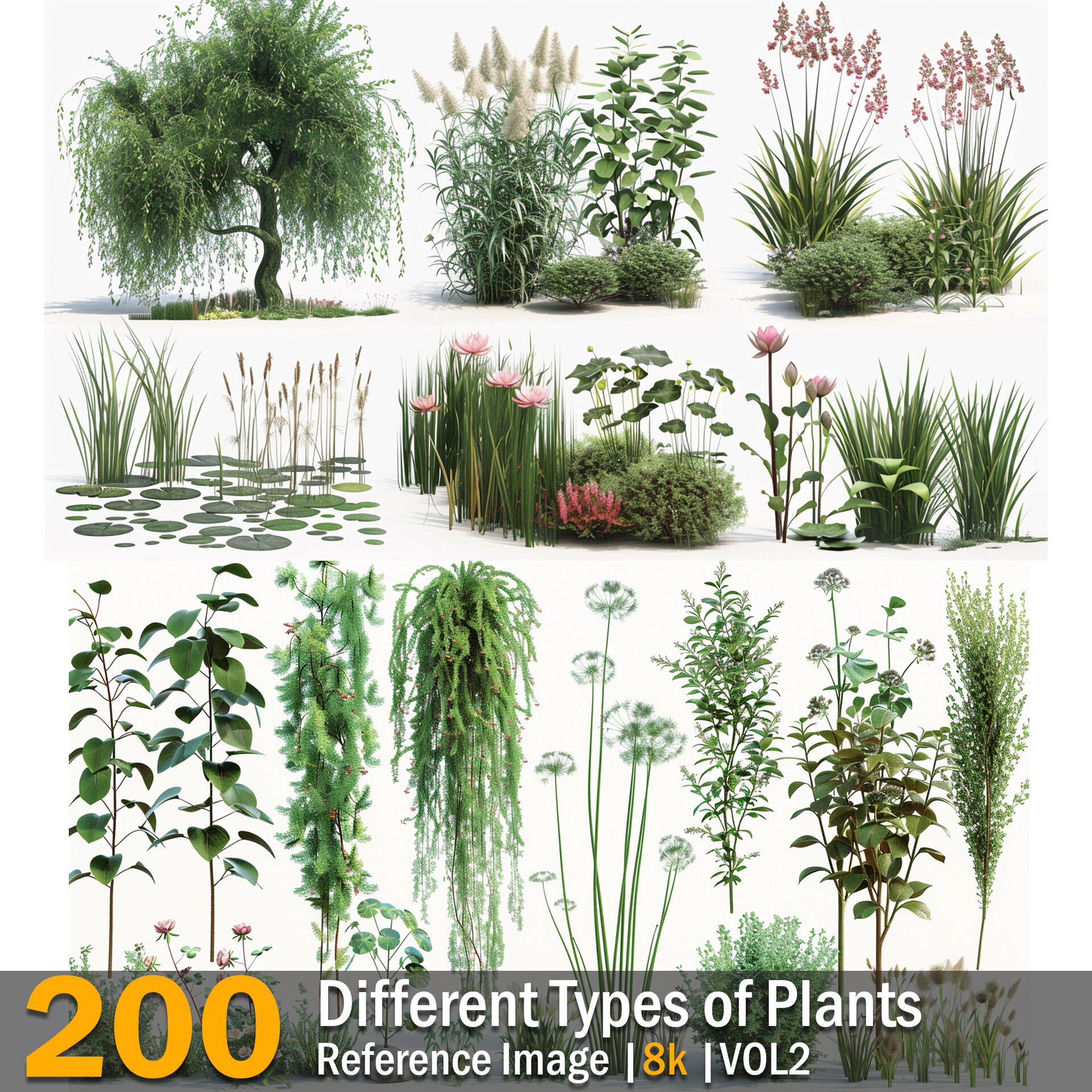 ArtStation - Different Types of Plants | Reference Images | 8K