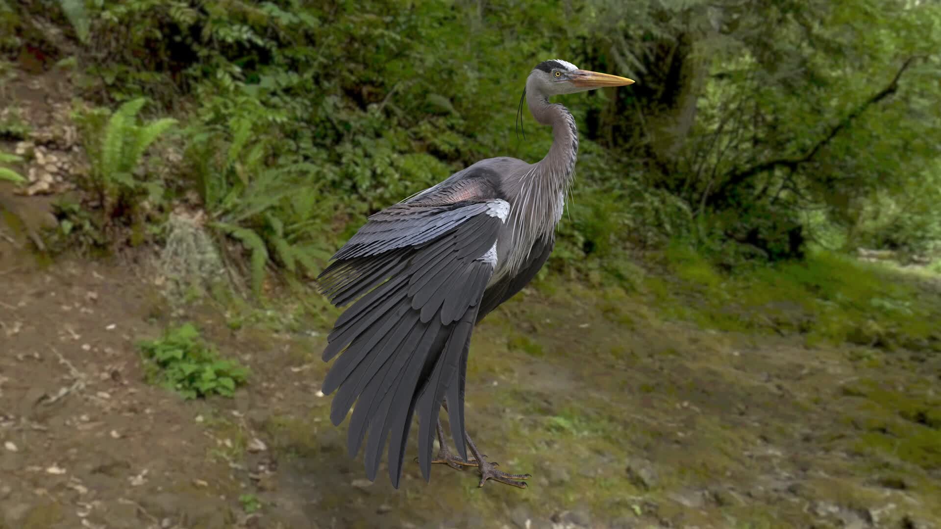 ArtStation - Canceled Project: Blue Heron