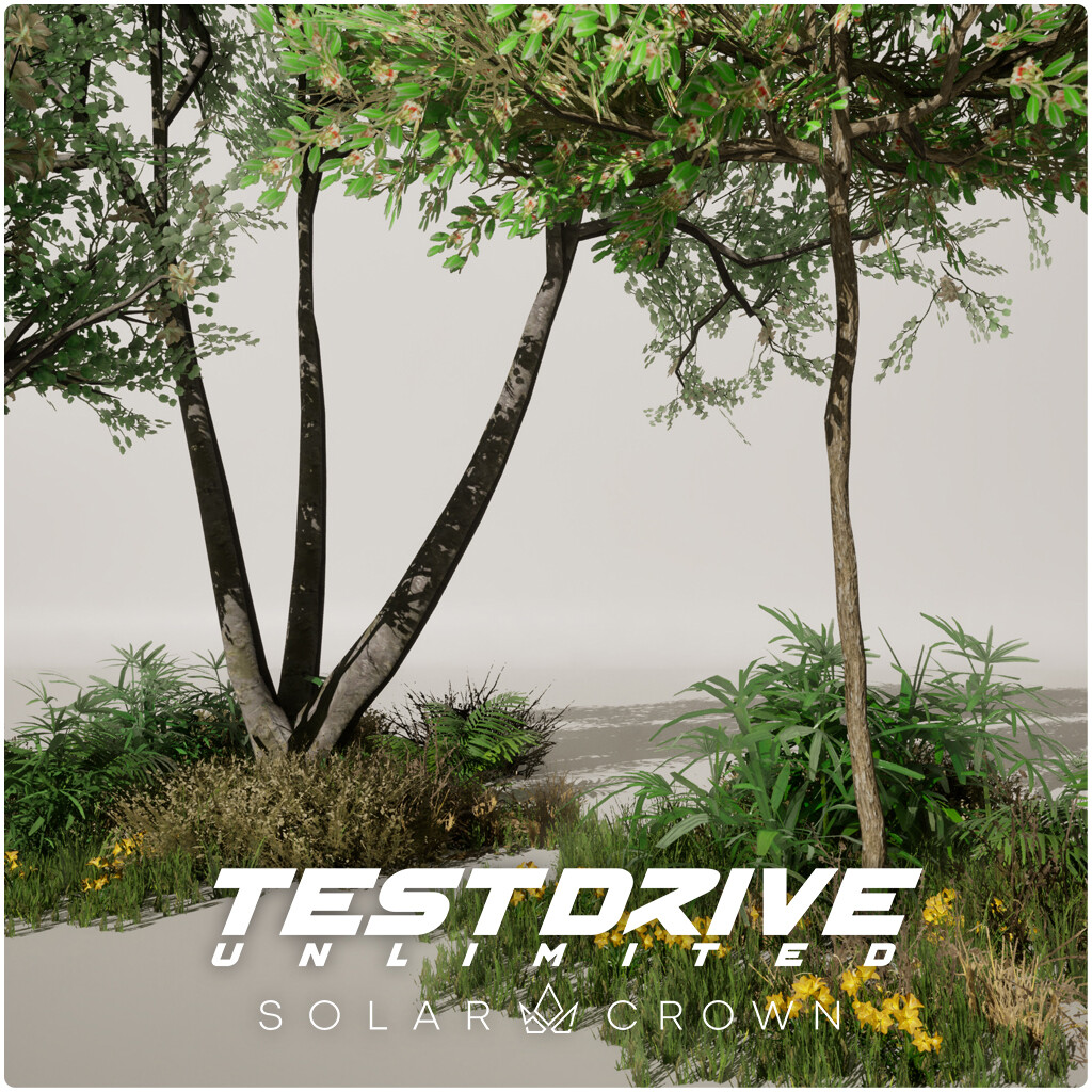 ArtStation - TDU - Vegetation coastline biome