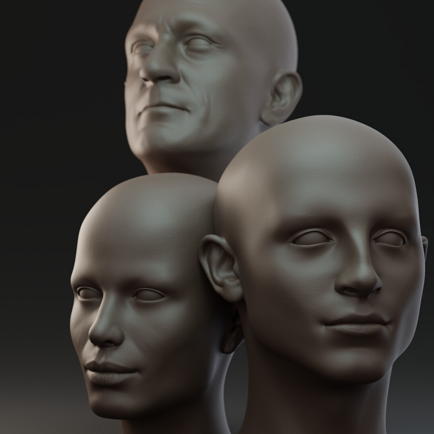 ArtStation - Heads sculpt