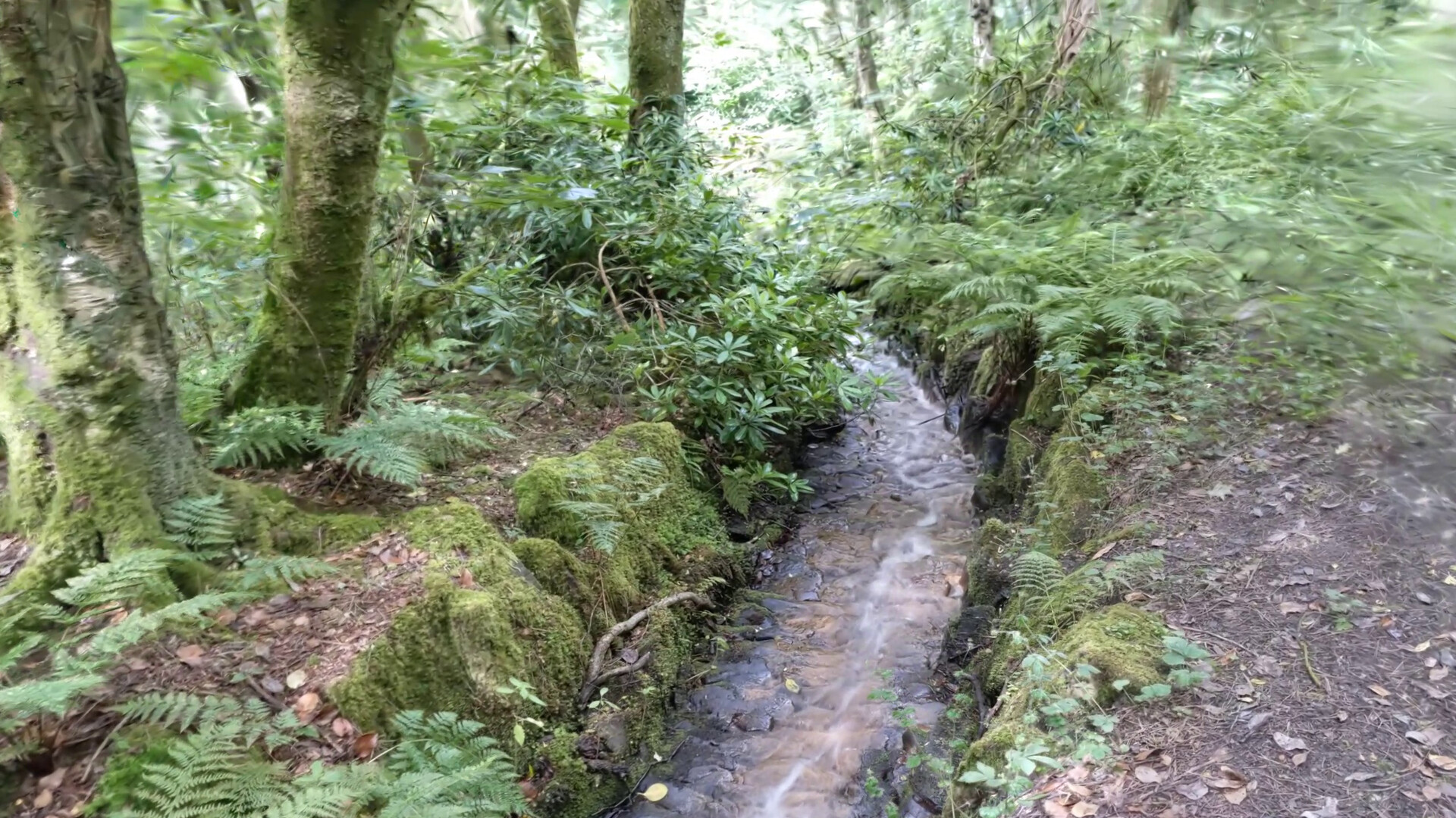 ArtStation - 3D Gaussian Splat Maps