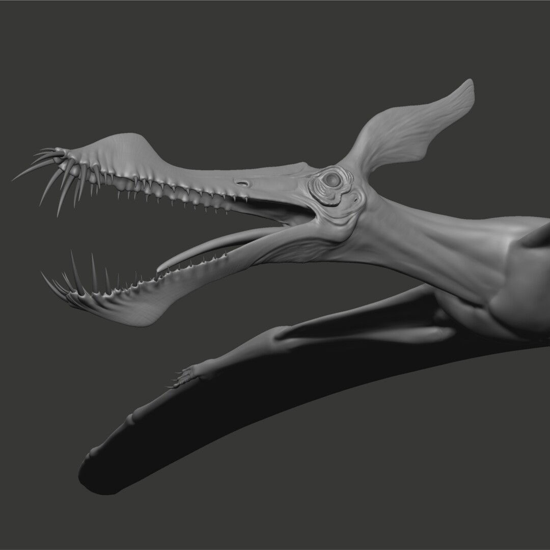ArtStation - WIP Caulkicephalus Sculpt