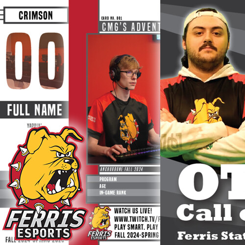ArtStation - Ferris Esports-Player Cards