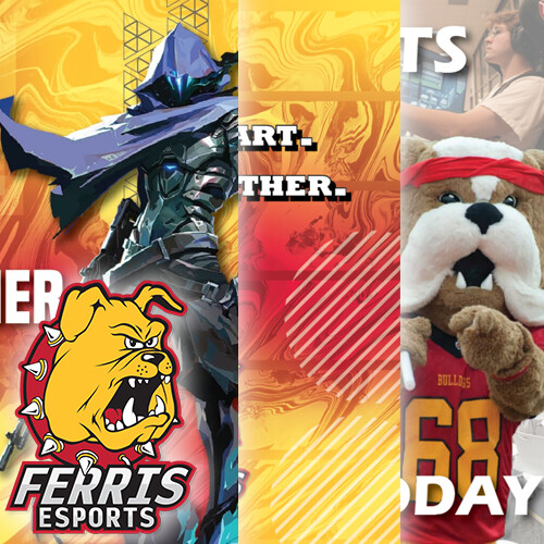 ArtStation - Ferris Esports-Posters