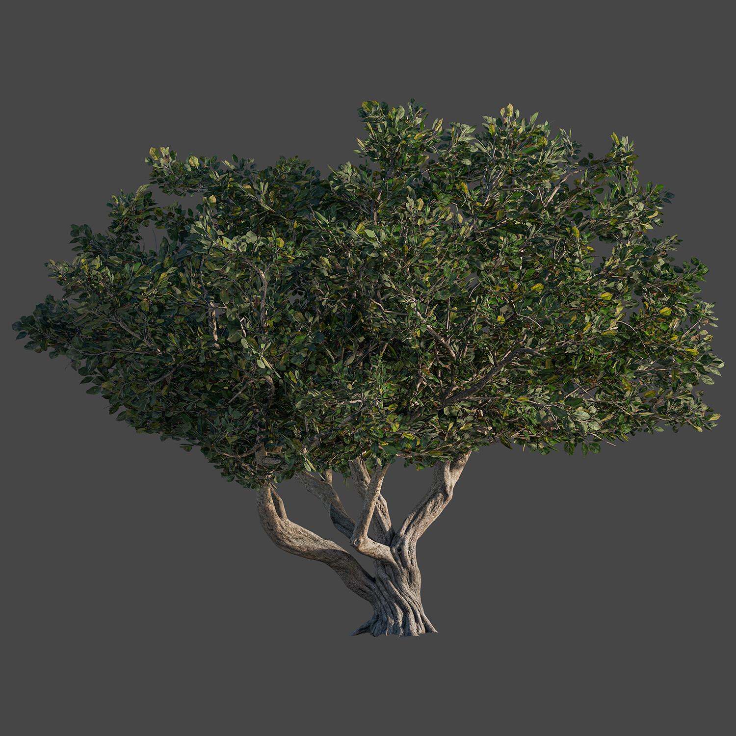 ArtStation - Apple tree