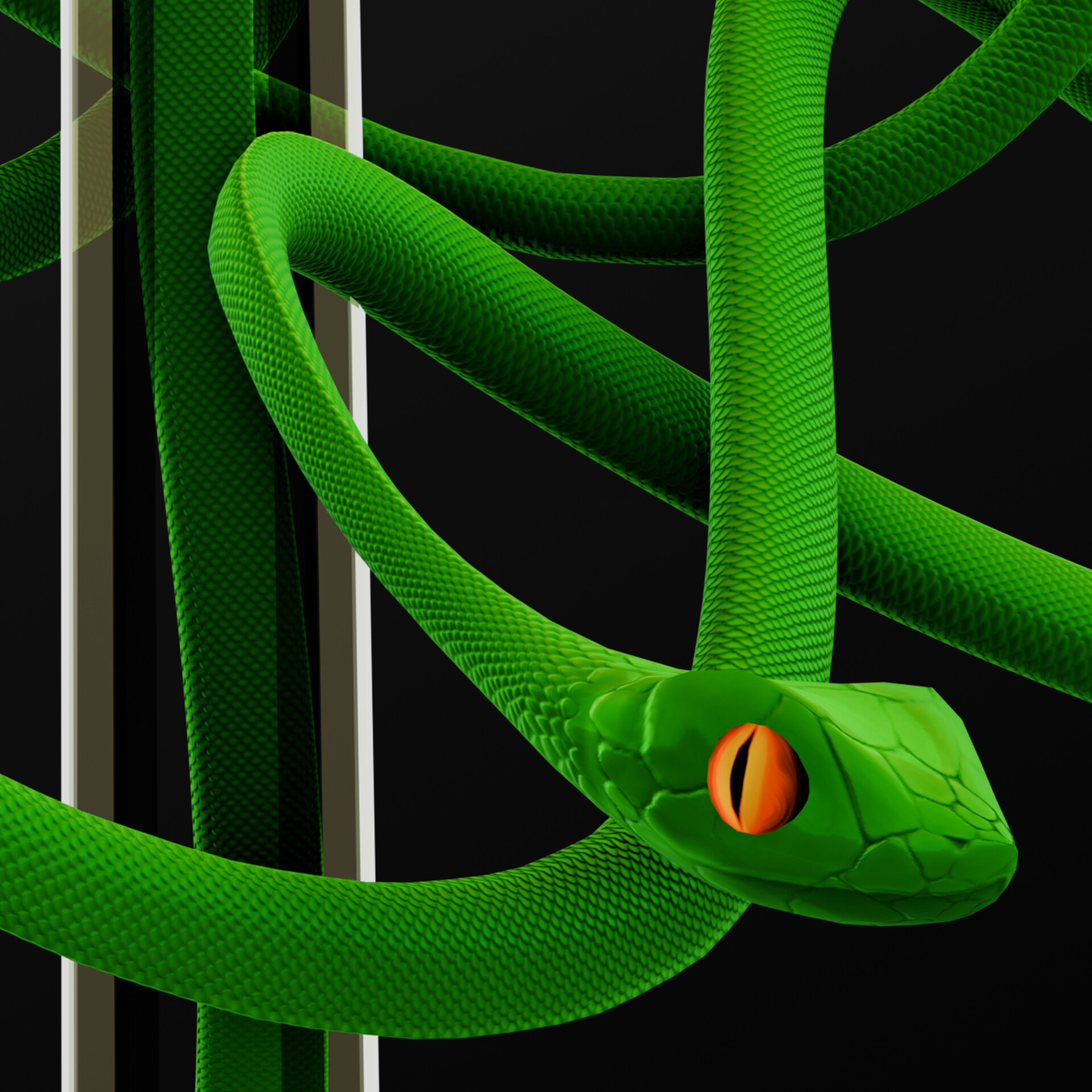 ArtStation - Snake Potion