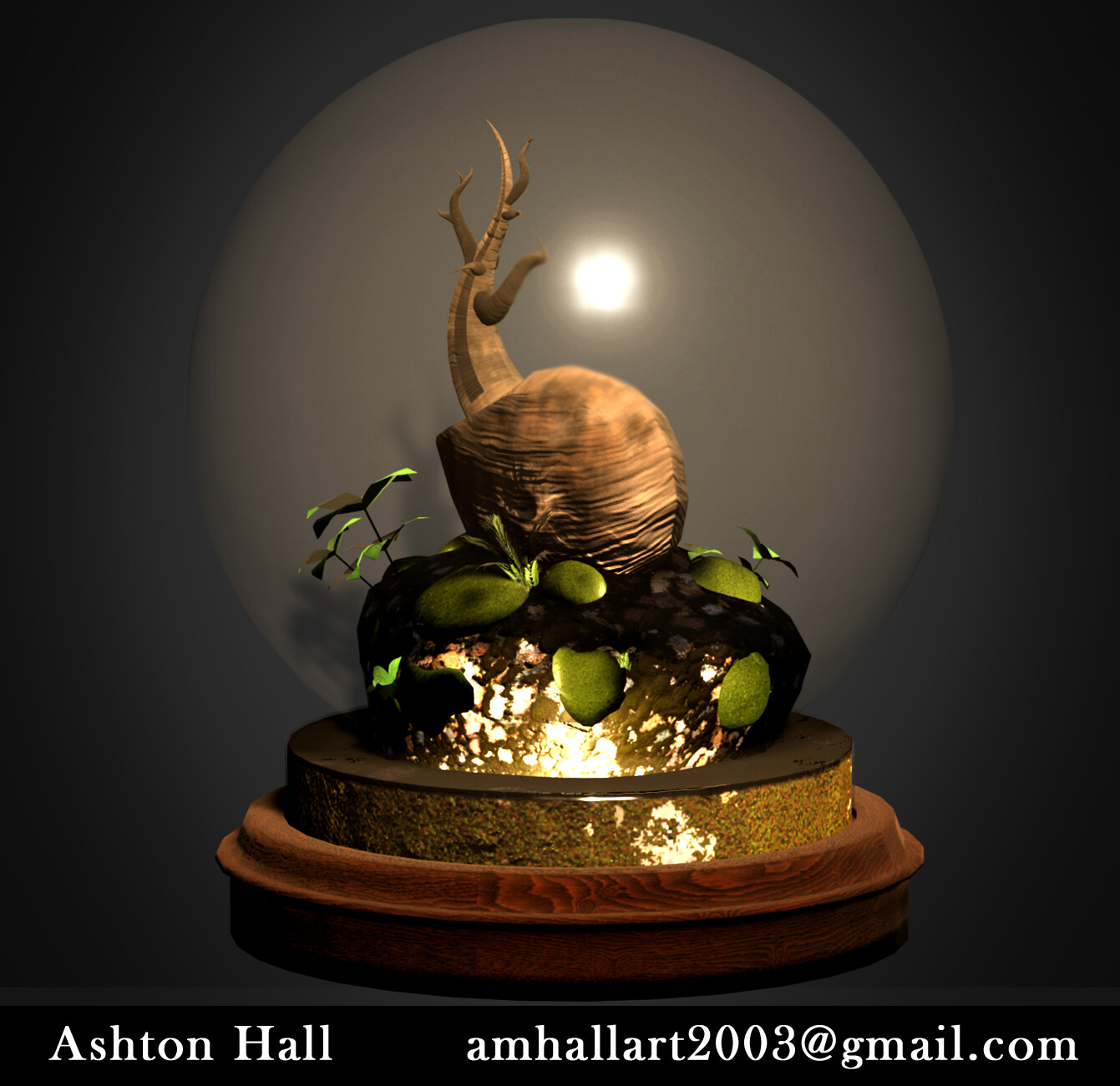 ArtStation - Shell Terrarium