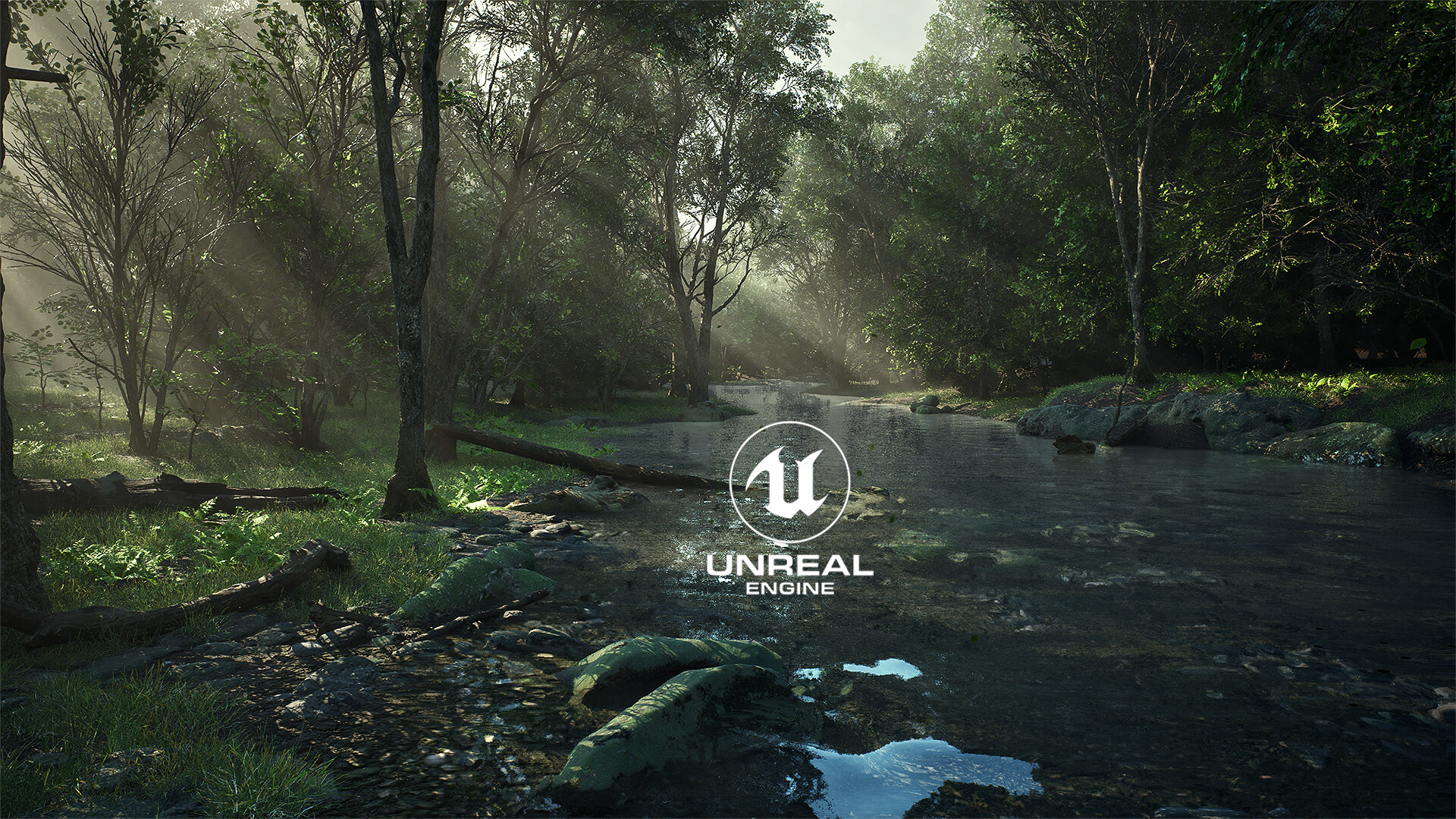 ArtStation - Realistic Deep Forest