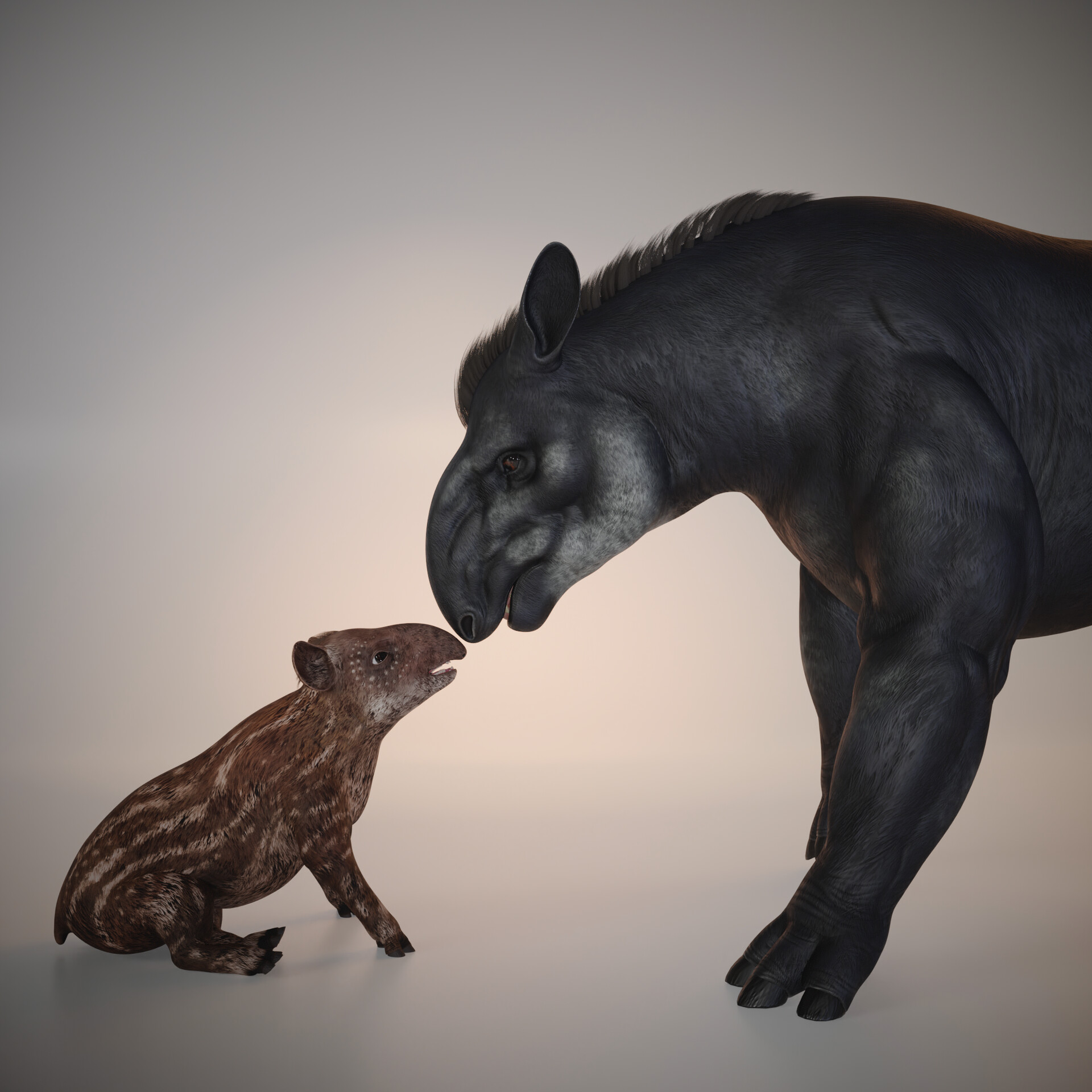 ArtStation - Stylized Tapirs