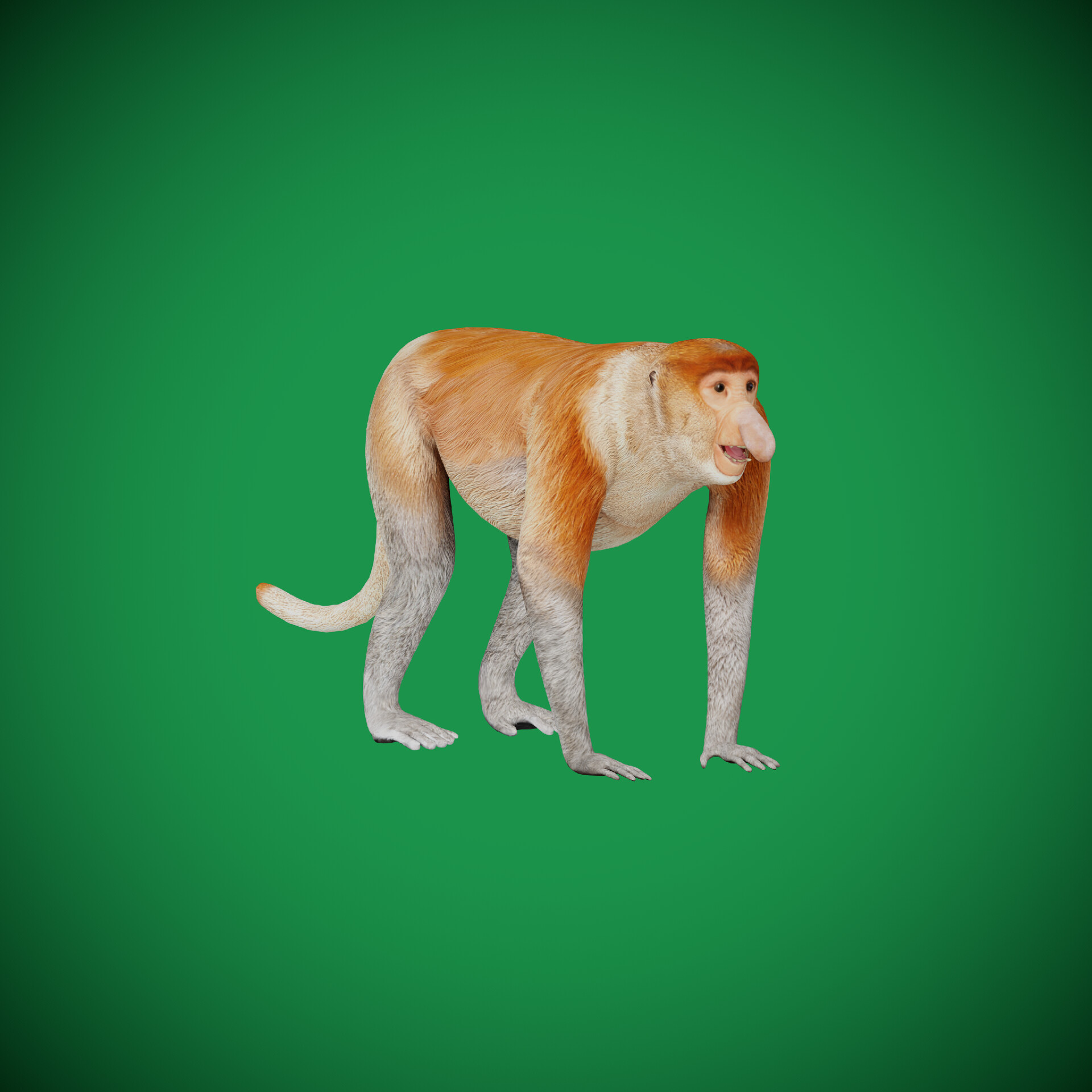 ArtStation - Proboscis Monkey Primate