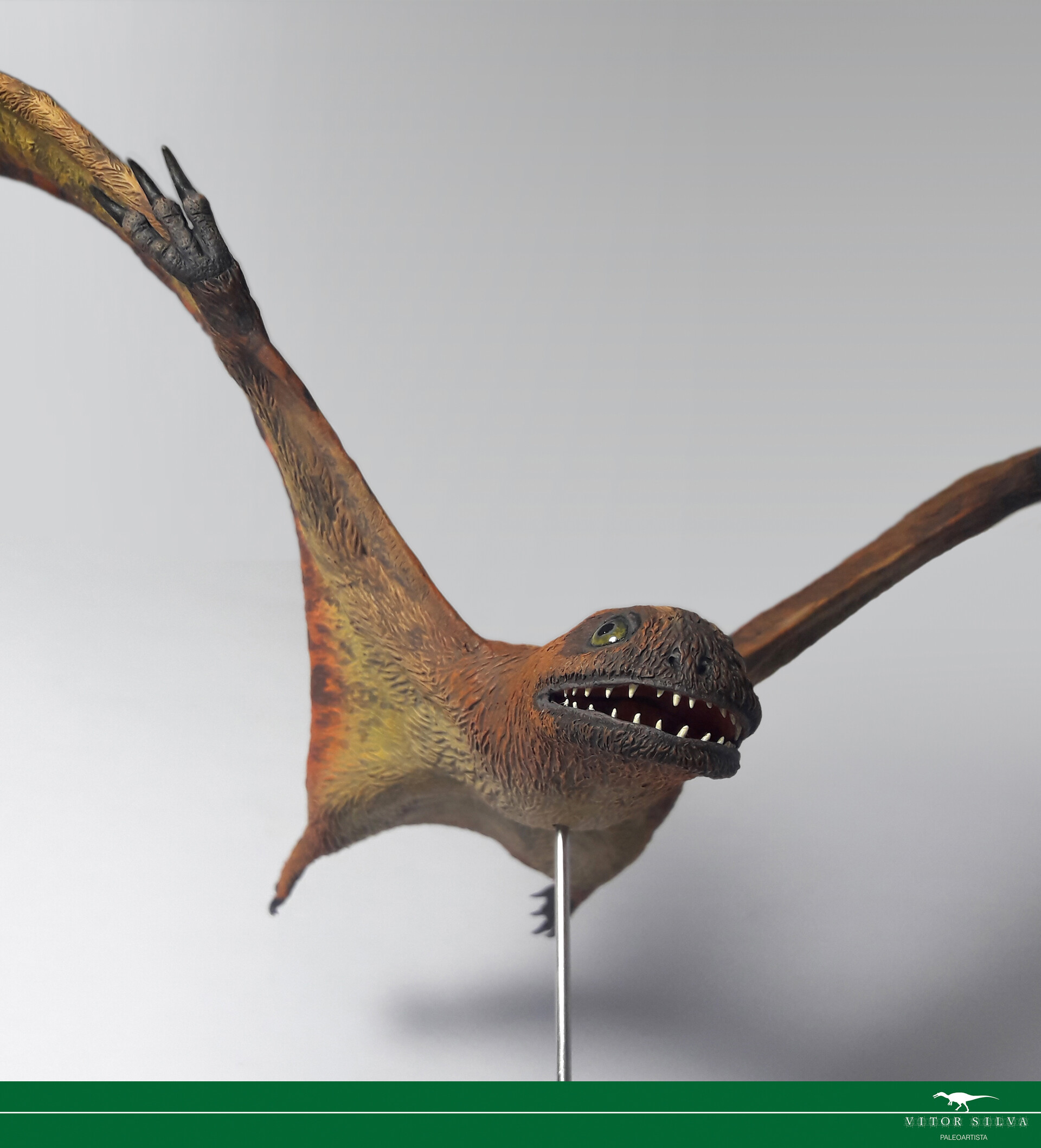 ArtStation - Jeholopterus