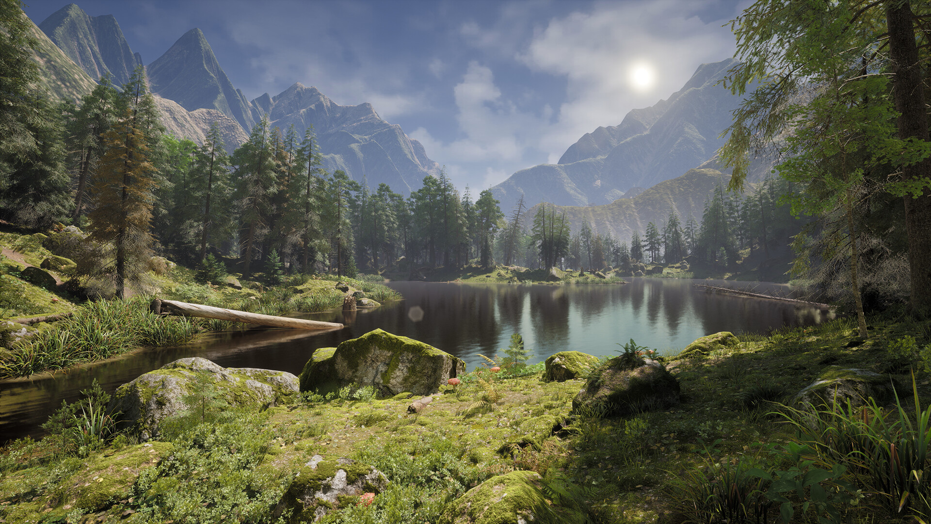 ArtStation - Outdoor natural scenery scene rendering|UE|TA|TOD