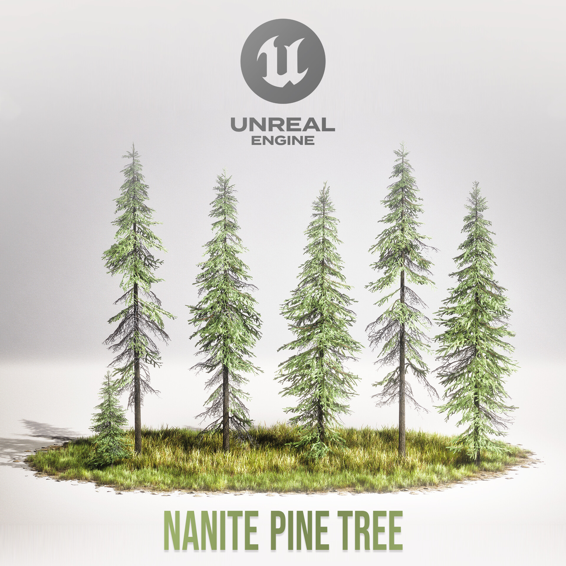 ArtStation - Nanite Pine Trees UE5