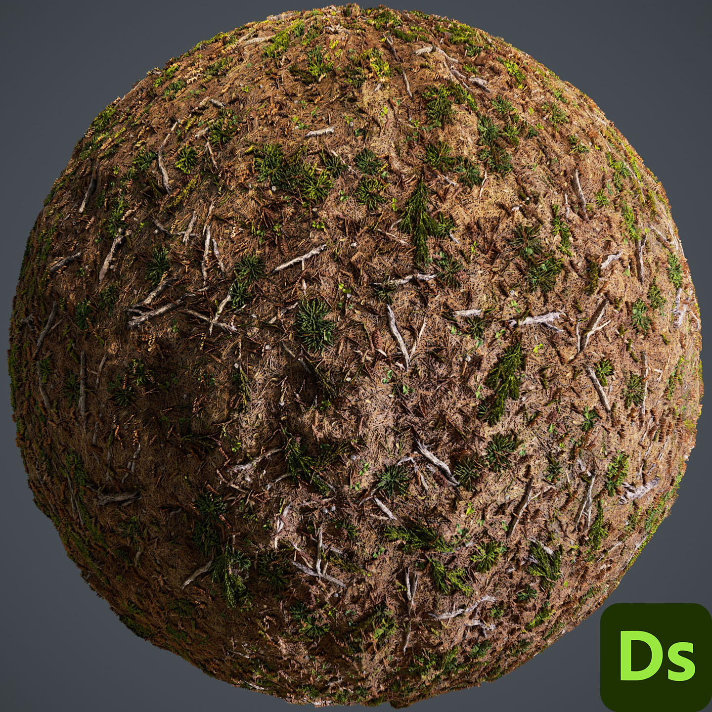 ArtStation - FOREST_GROUND