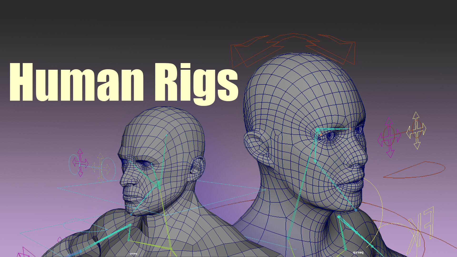 ArtStation - Human Rig Showcase