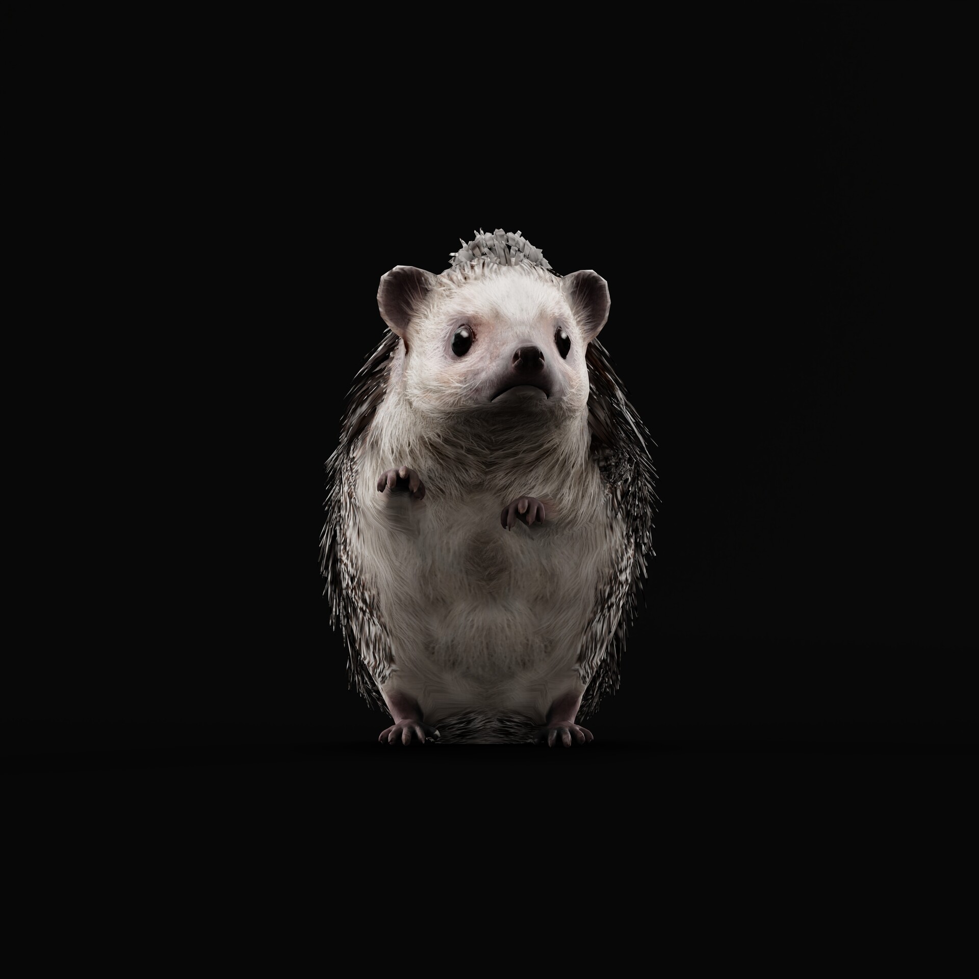 ArtStation - African Pygmy Hedgehog