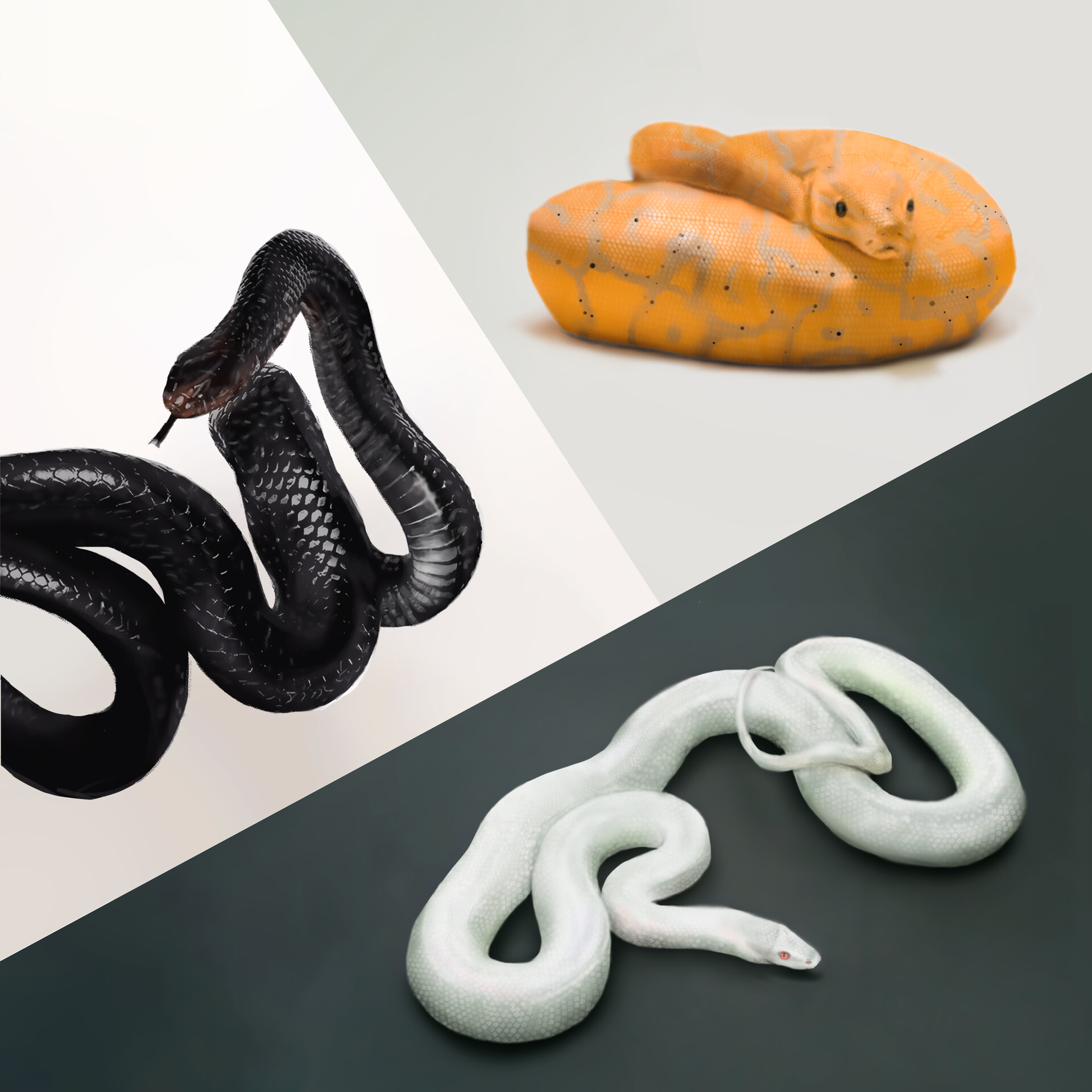 ArtStation - Snake Study