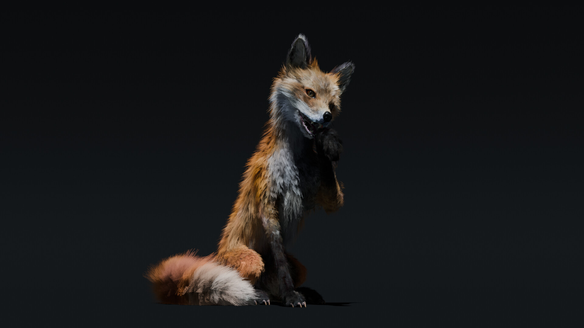 ArtStation - Red Fox, Vulpes vulpes