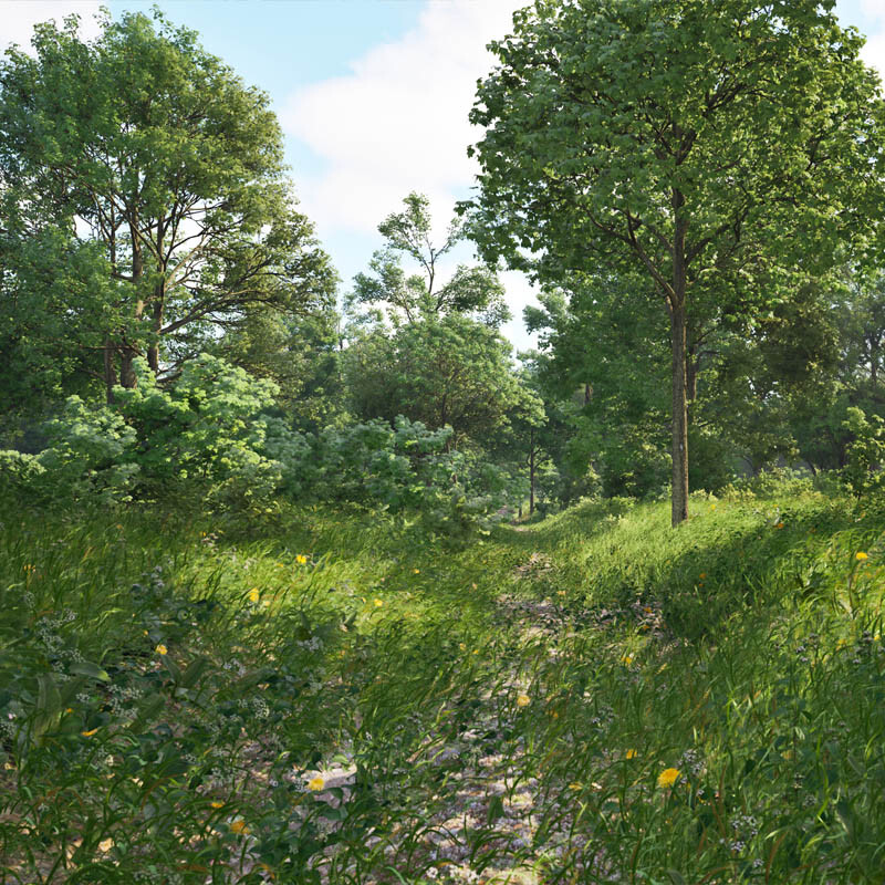 ArtStation - Broadleaf Trees Biome | UE5.4 | Ultra Realistic Wind