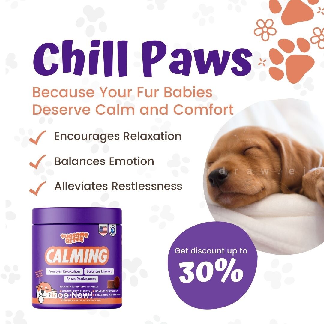 ArtStation - Image Ads