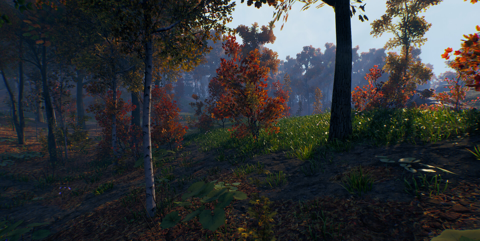 ArtStation - Open Country