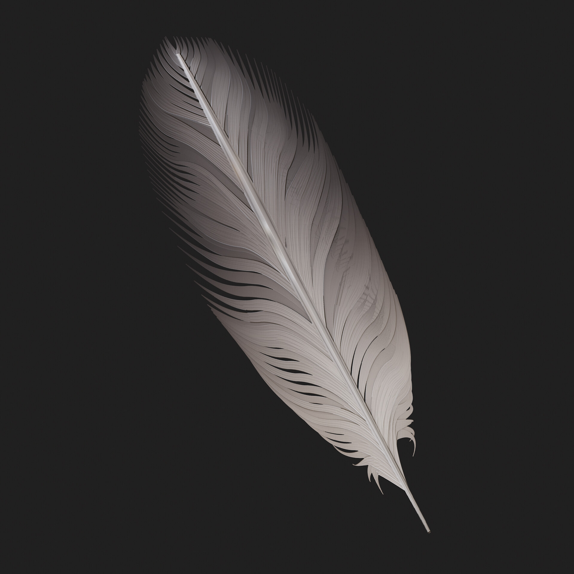 ArtStation - Procedural Feather-Substance designer Spline nodes workout