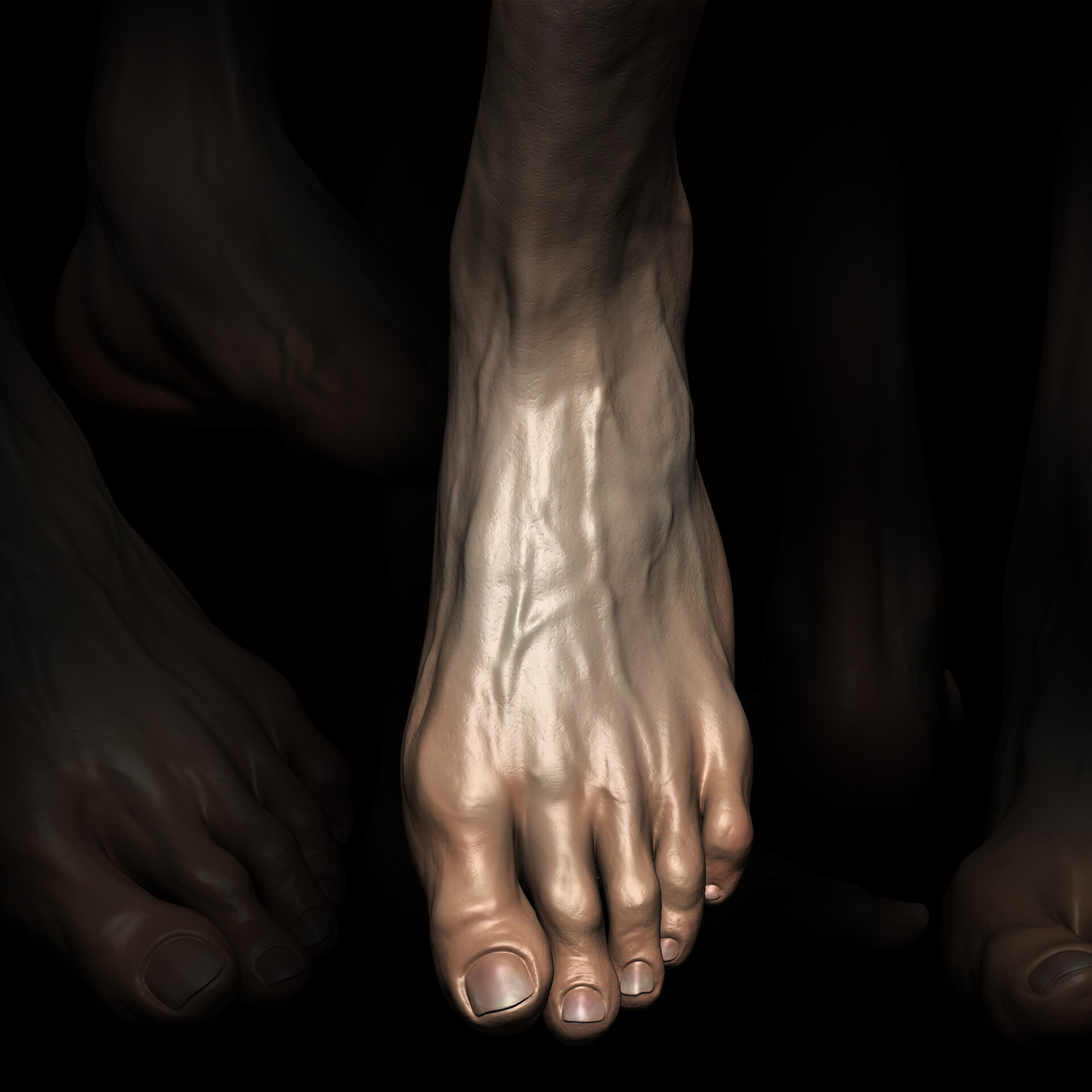 ArtStation - Foot and Leg : Anatomy study Zbrush