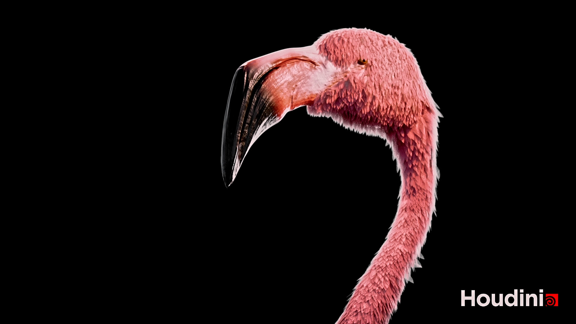 ArtStation - Flamingo - Houdini Character - Vellum Feathers