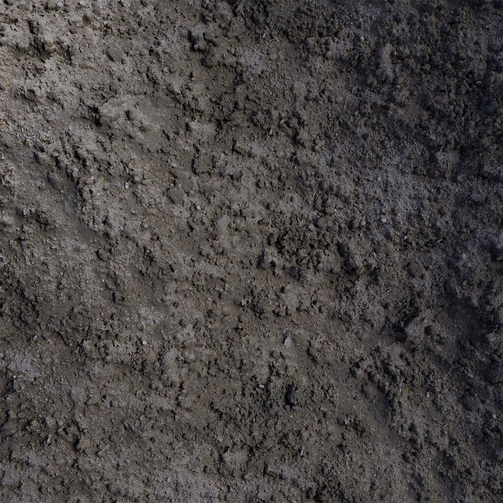 ArtStation - Soil Material Scan