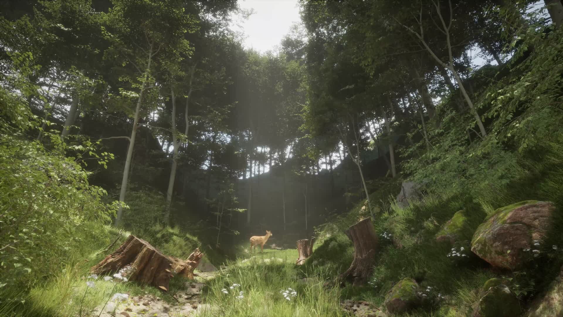 ArtStation - UE5 Forest