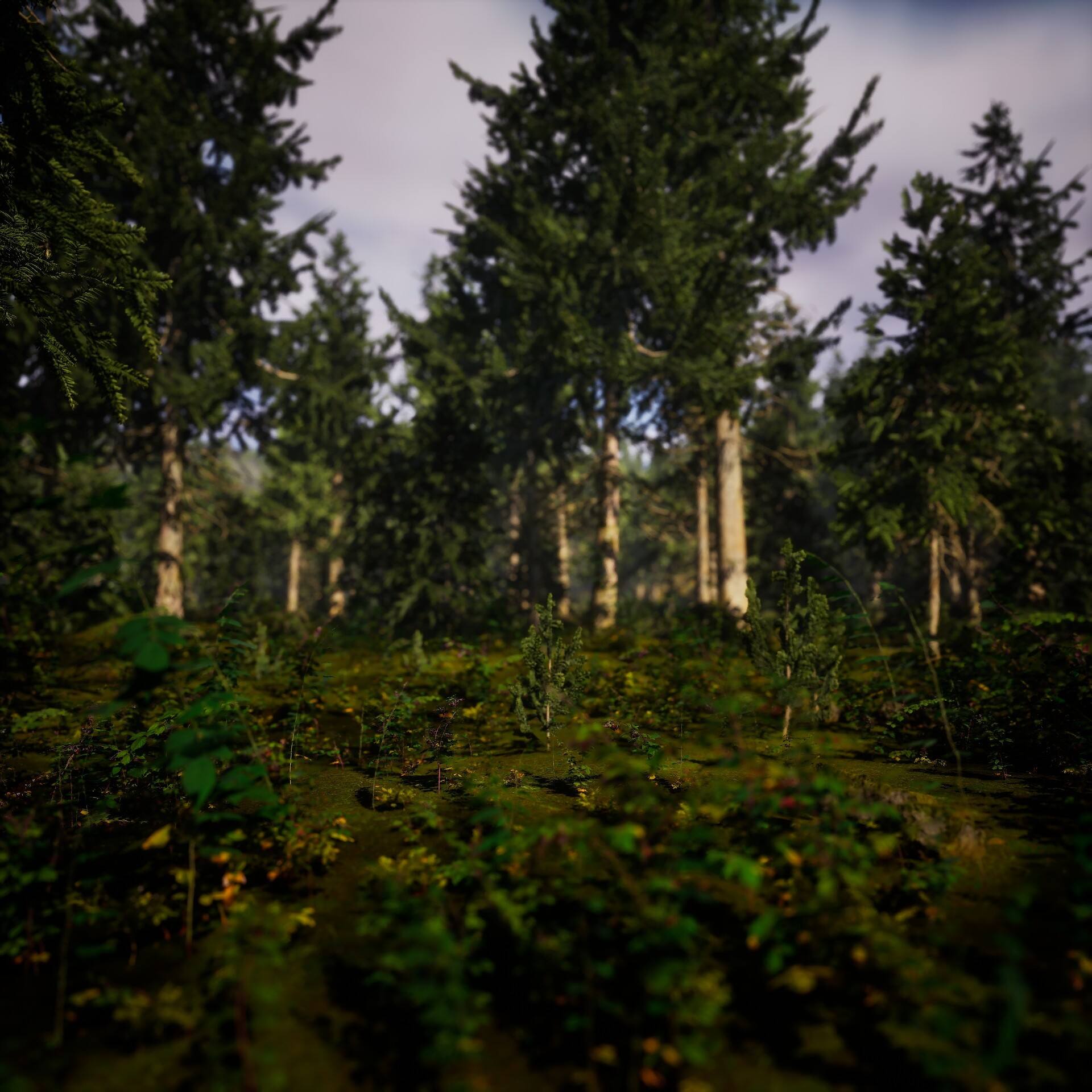 ArtStation - Procedural Realistic Environment