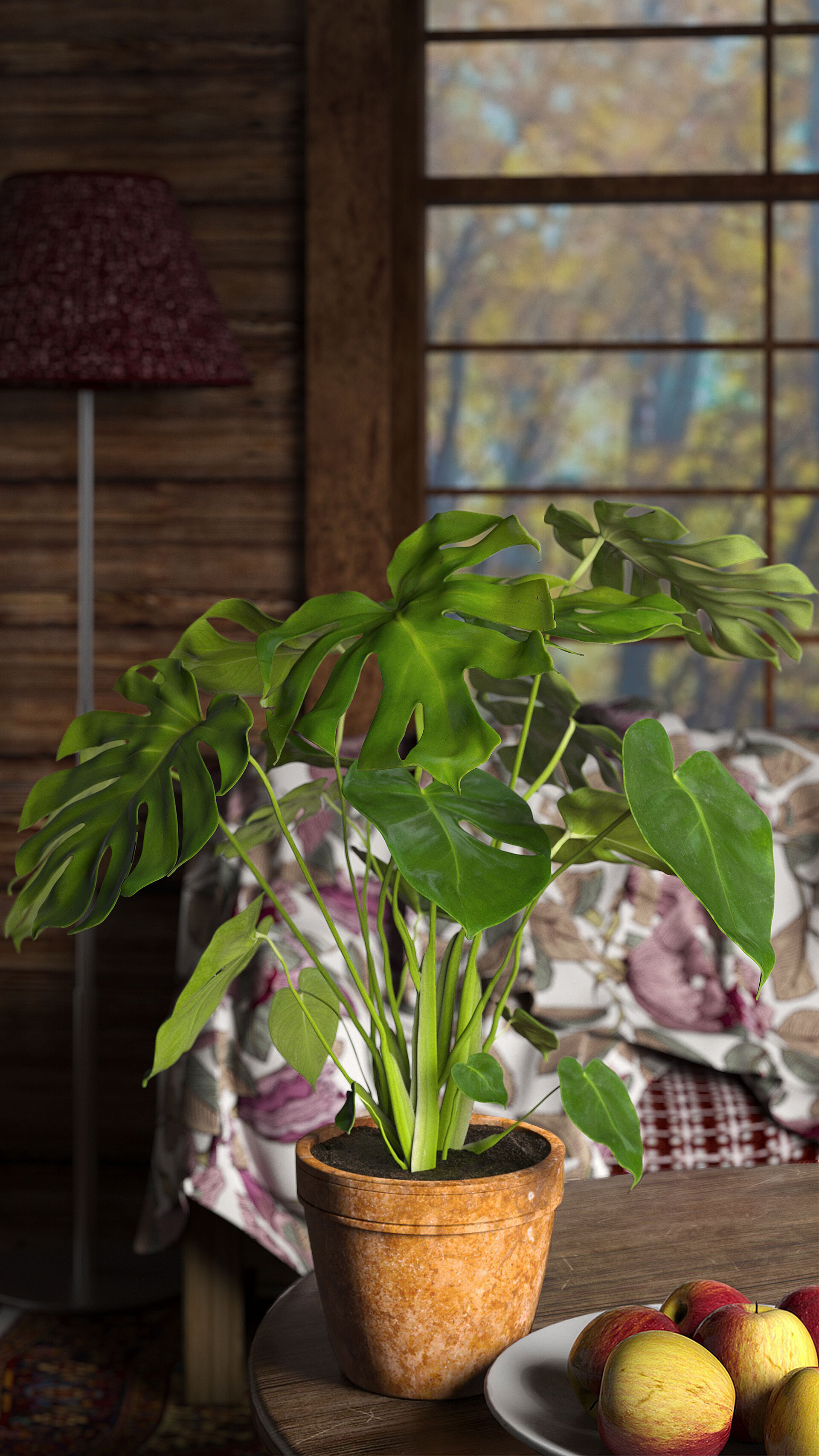 ArtStation - Monstera