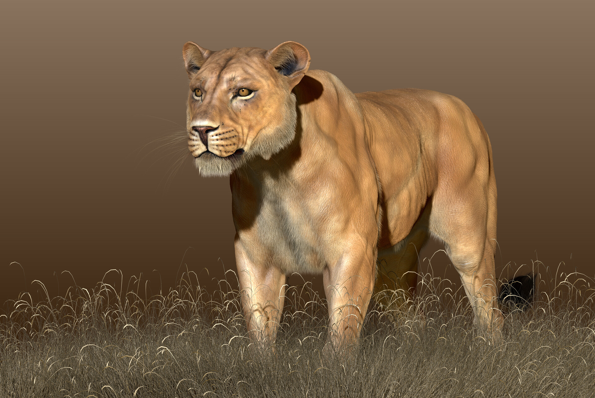 ArtStation - Lioness