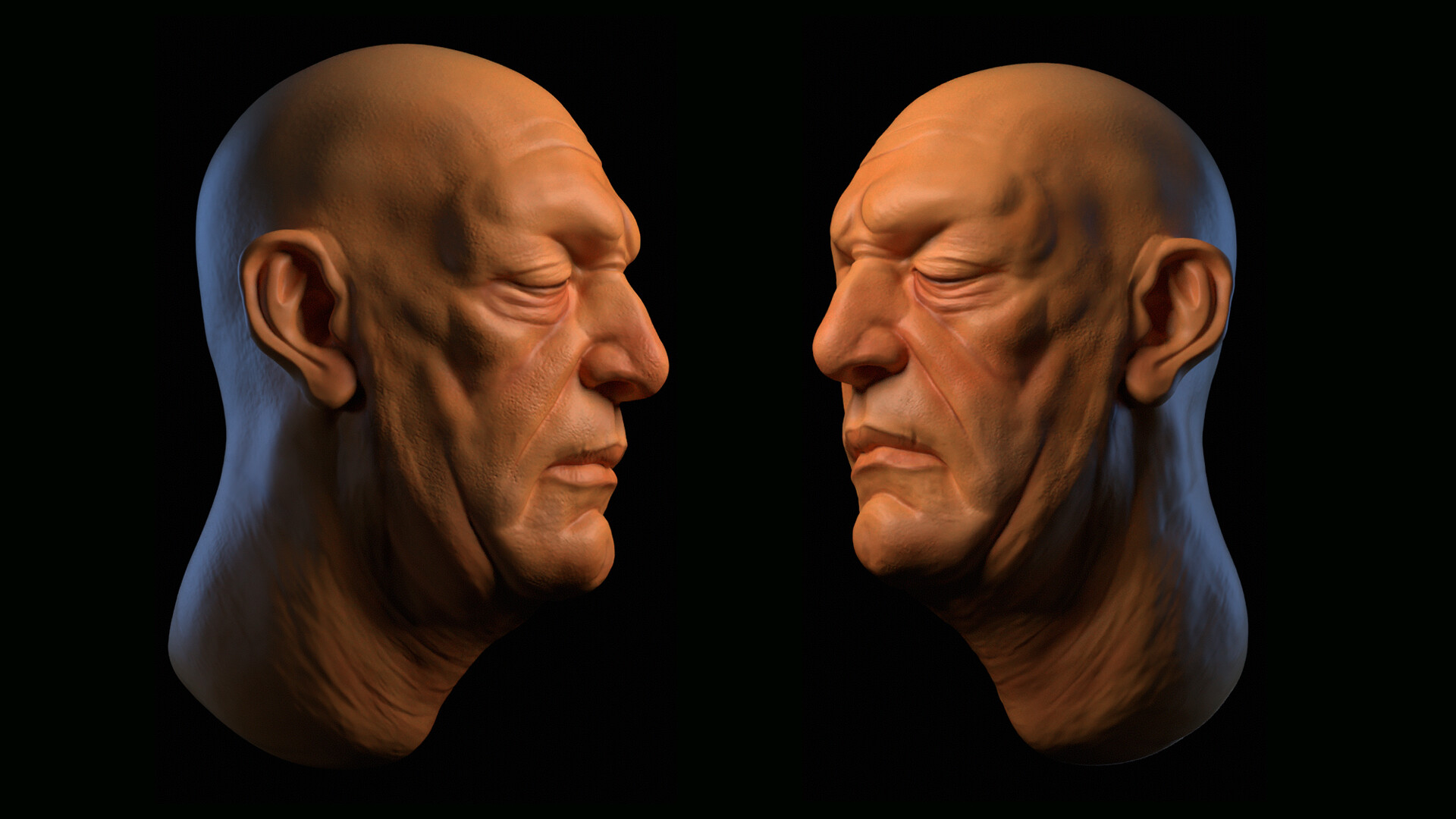 ArtStation - Detailed Head Study (01)
