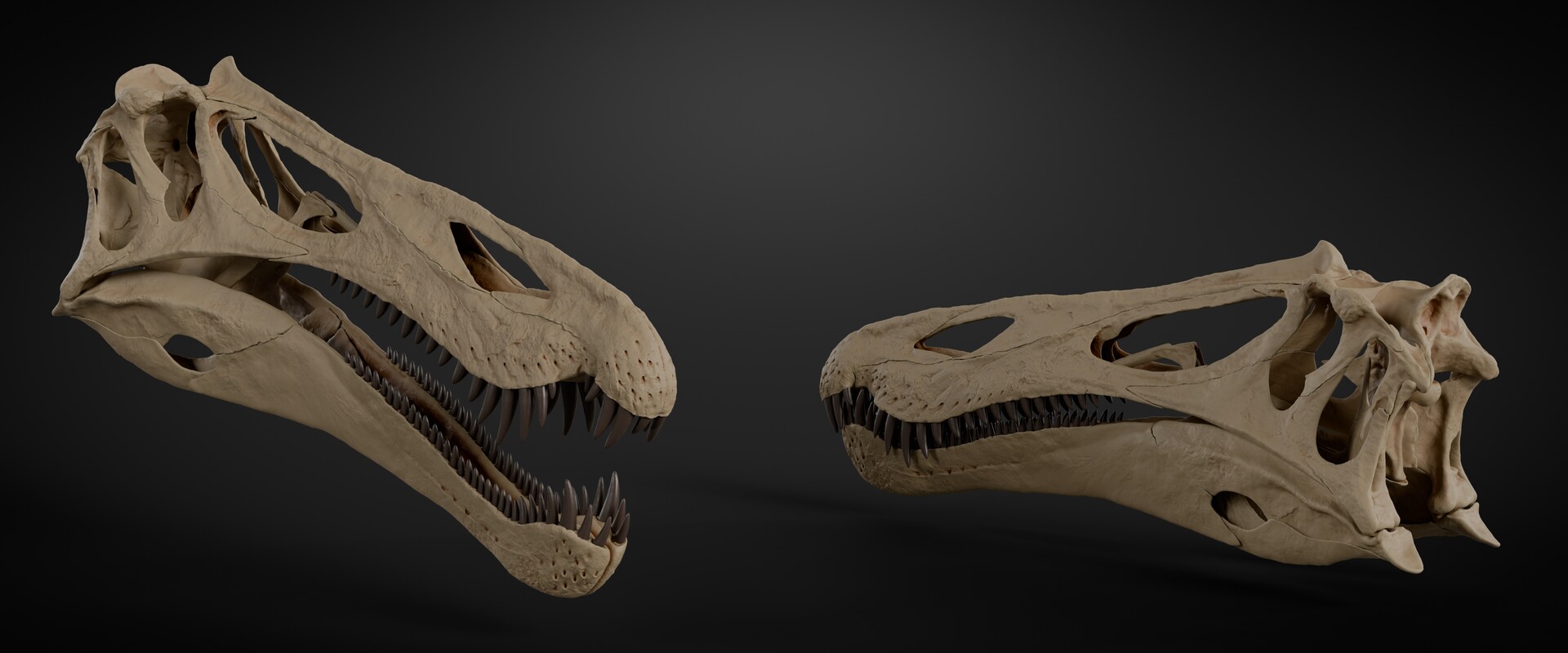 ArtStation - WIP Suchomimus Skull