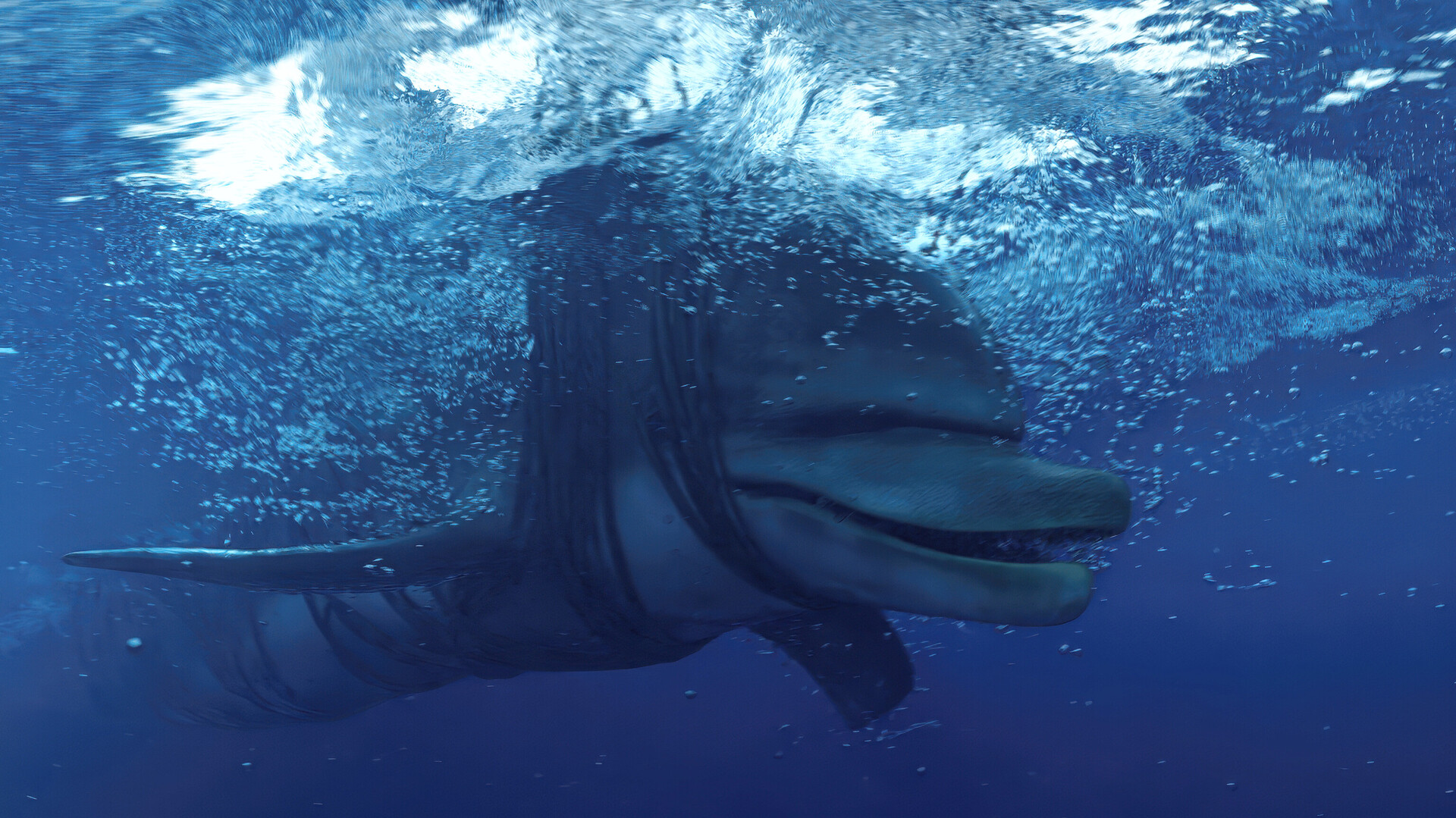 ArtStation - Underwater Tangled Dolphin