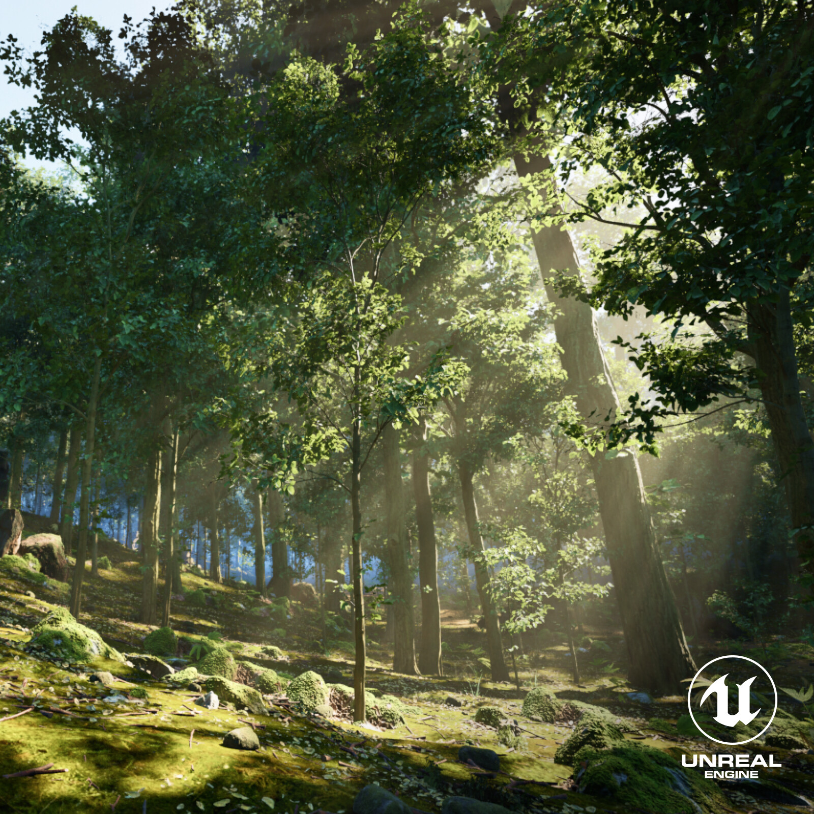 ArtStation - PCG Forest in Unreal Engine