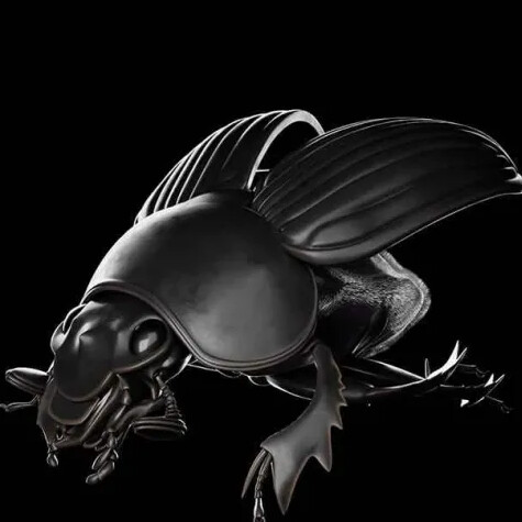 ArtStation - BEETLE - Modeling / Lookdev