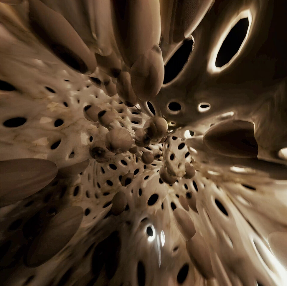 ArtStation - 329: observer (demo)