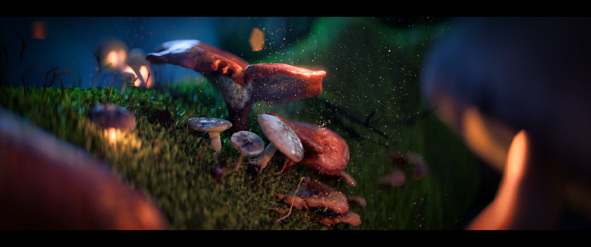 ArtStation - Macro Mushrooms