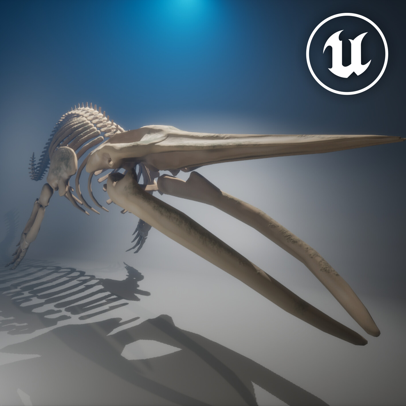ArtStation - Whale Skeleton