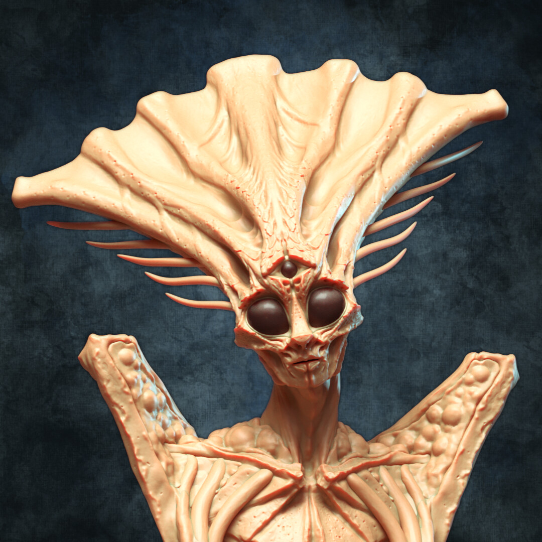 ArtStation - The Curious Damsel