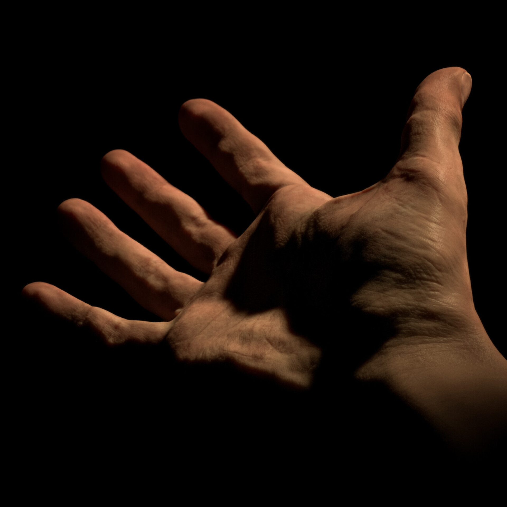 ArtStation - 3D realistic hand