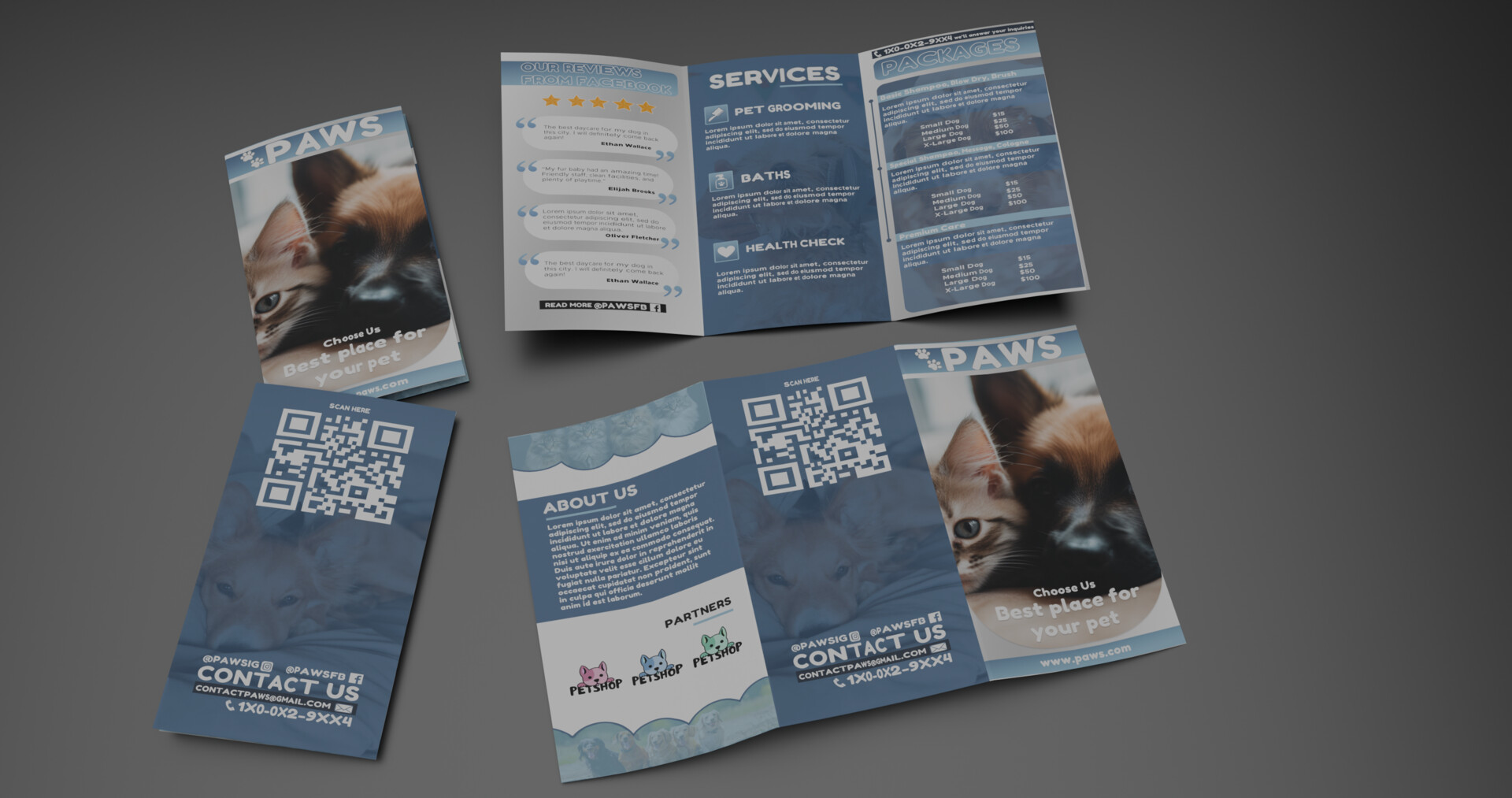 ArtStation - Tri-fold Pet Grooming Brochure Concept #1